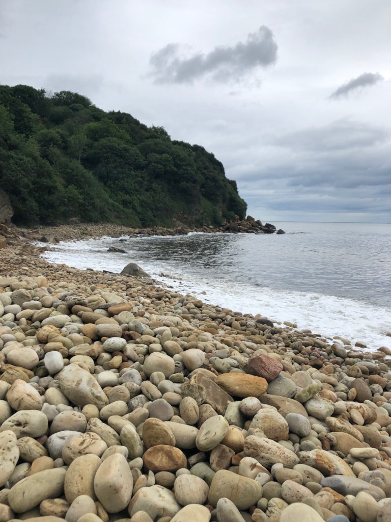 Hayburn Wyke Guide - Yorkshire Beaches